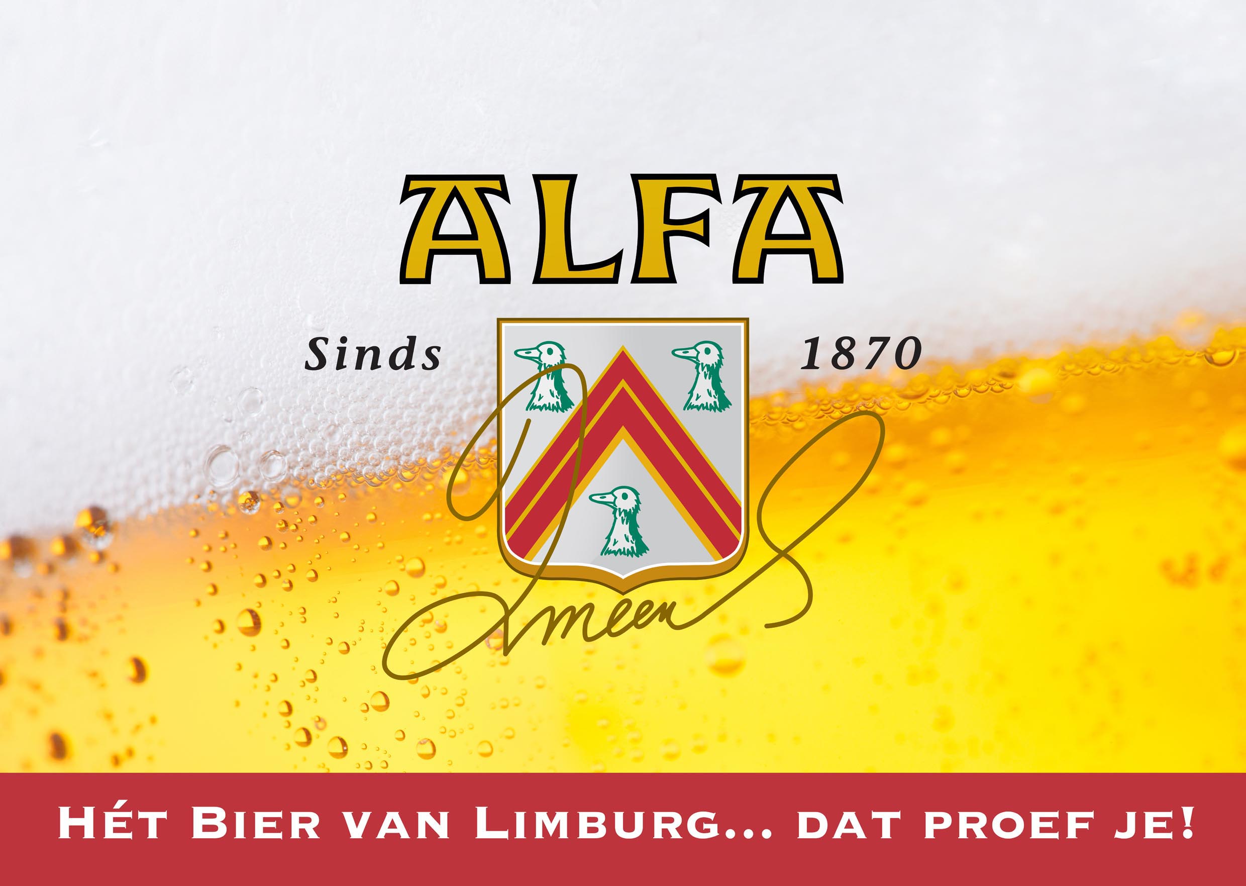 Verhuur Alfa Pils 50L te huur Zuid Limburg - Deguelle Party Verhuur ...